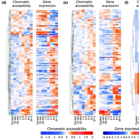 classification of conserved noncoding sequences cns according to download scientific diagram