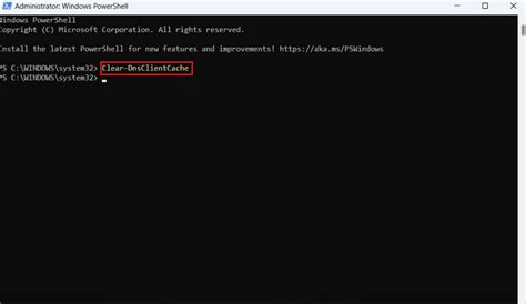How To Flush DNS Cache In Windows 11 TechCult