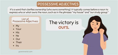 Possessive Adjectives Definition Examples Worksheet