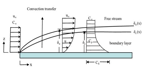 1 typical velocity and concentration boundary layer over a flat surface download scientific
