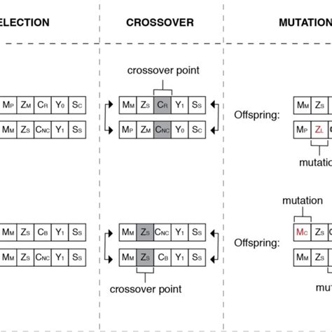selection crossover and mutation operators download scientific diagram