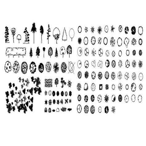 Trees And Plant Cad Blocks