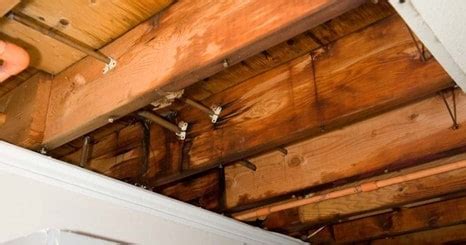 How To Fix A Leaking Concrete Ceiling Shelly Lighting
