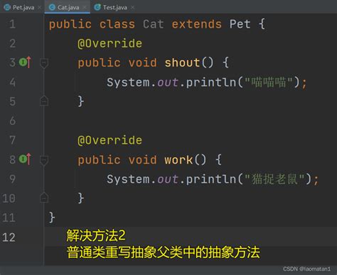 java 抽象类与抽象方法的使用 csdn博客