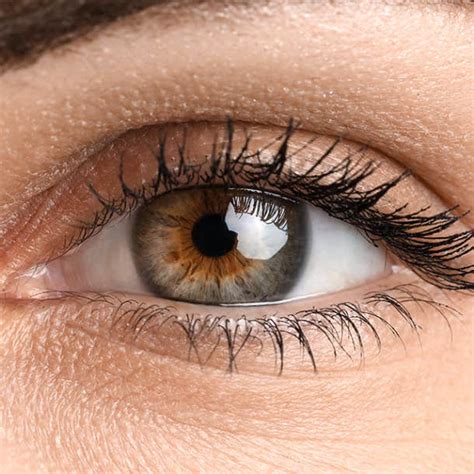 What Your Eye Color Says About Your Personality Hazel Green Brown Blue And Gray Eyes Yourtango