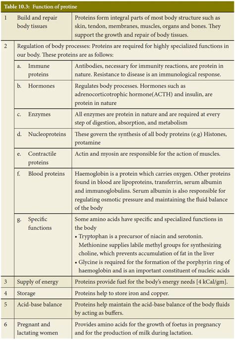 Functions Of Proteins