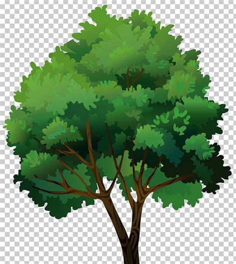 Tree White Transparent Rendering Apple PNG Clipart Apple Tree Branch