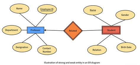 Entity In DBMS A Beginners Guide