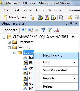Installing On An Additional Workstation SQL Server And Granting