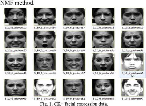 figure 1 from extended non negative matrix factorization for face and facial expression