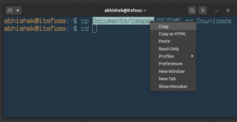 How To Copy Paste In Linux Terminal For Absolute Beginners