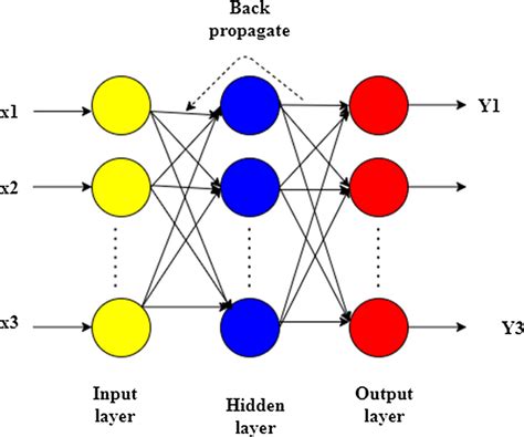 network model with backpropagation download scientific diagram