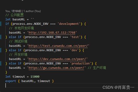 vue项目设置环境变量 区分webpack和vite vue项目打印环境变量 csdn博客