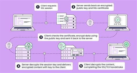 SSH Vs SSL Whats The Difference In WordPress WeDevs