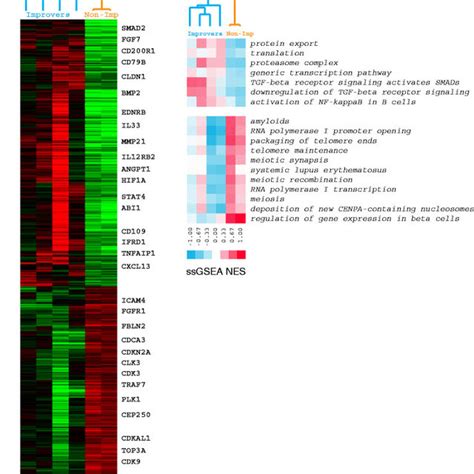 Baseline Differential Gene Expression And Pathway Enrichment Analysis