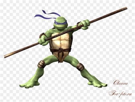 Ninja Turtles Raphael And Leonardo