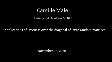 camille male applications of freeness over the diagonal of large random matrices youtube