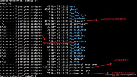 postgresql 数据库 pg数据库的全安装教程 yum 二进制，源码编译） pg数据库安装 csdn博客