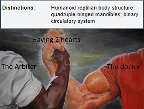 Just Found This From Haloepdia R HaloMemes