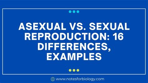 Asexual Vs Sexual Reproduction 16 Differences Examples