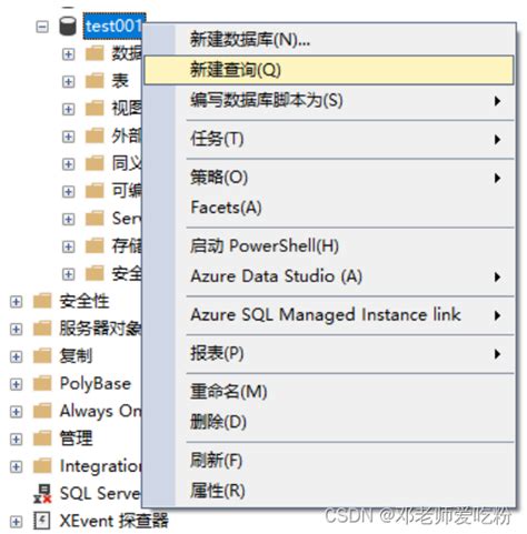 《数据库系统概论》sql server 数据库导出、导入教程 sqlserver数据导出sql文件 邓老师爱吃粉的博客 csdn博客