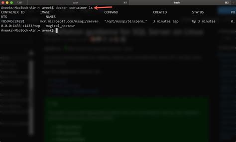 how to deploy and connect an sql server docker container simplified