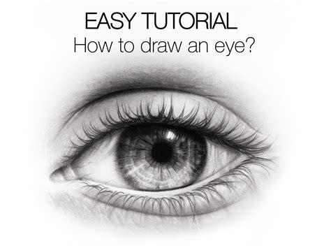 How To Draw Eyes For Beginners Step By Step Easy Howto Techno