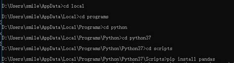 python安装pandas模块的方法及可能遇到的问题 能在d盘中安装pandas吗 csdn博客