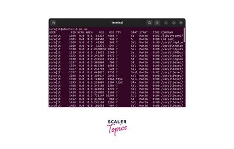 What Is Process Management In Linux Scaler Topics