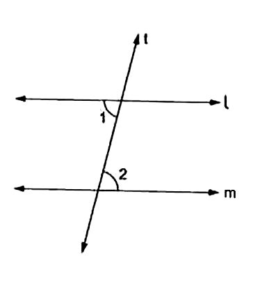 In The Given Figure Two Lines L And Mare Intersected By A Transversal