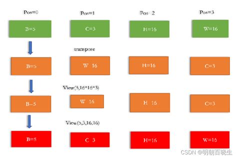 p3 pytorch 维度变换 tensor更换数据维度代码 csdn博客