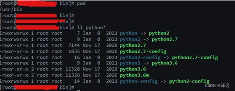 腾讯云轻量应用服务器centos7 6如何更新或安装python3 腾讯云轻量服务器termius安装python csdn博客