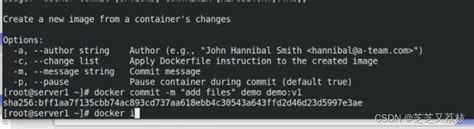 docker镜像的分层结构、dockerfile的编写及镜像封装优化 dockerfile分层打包 csdn博客