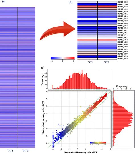 microarray data analysis and correlation between the biological download scientific diagram