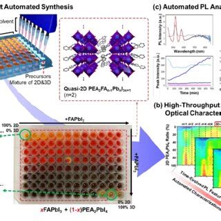 A Experimental Workflow Illustrating The Automated High Throughput