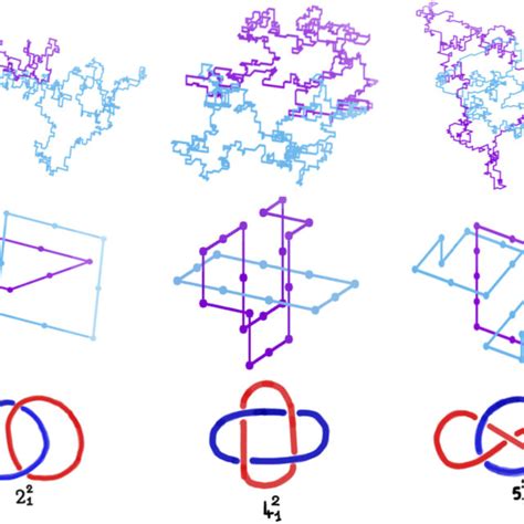top row pairs of lattice polygons sampled at different values of download scientific diagram