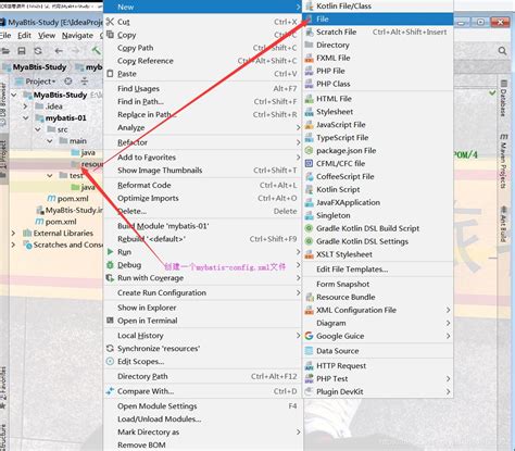 getting started with the first mybatis program programmer sought