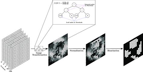 complete diagram of the operation of the algorithm to detect mistletoe download scientific