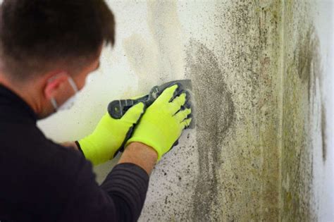 Schimmel Hauswand aussen Gründe was man tun kann