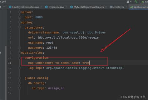 数据库字段名称与java实体类属性名称取得不一样的情况 java的属性名和字段名 csdn博客
