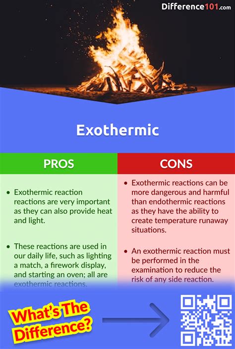 Endothermic Vs Exothermic 5 Key Differences Pros Cons Examples