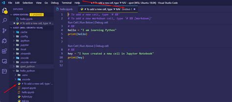 Set Up Jupyter Notebook In Vs Code For Data Science The Geek Diary