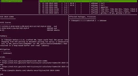 How To Install And Use Vuls Vulnerability Scanner On Ubuntu 18 04 LTS