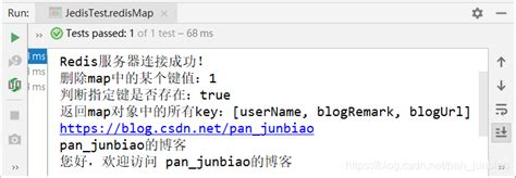 java使用jedis操作redis的5种数据类型 jedis type csdn博客