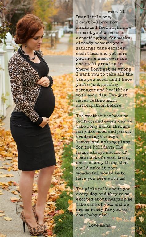 The Freckled Fox Lydias Maternity Series