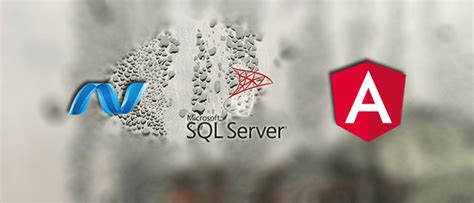 asp net core sql server and angular 7 web app authentication