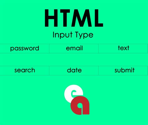 html input type nedir Örnekleri nelerdir