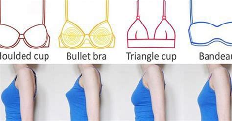 How To Measure Bra Size Guide Bra Bra Size Guide Bra Size Calculator