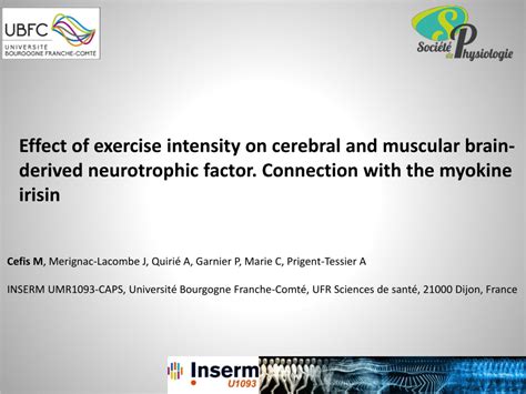 PDF Effect Of Exercise Intensity On Cerebral And Muscular Brain