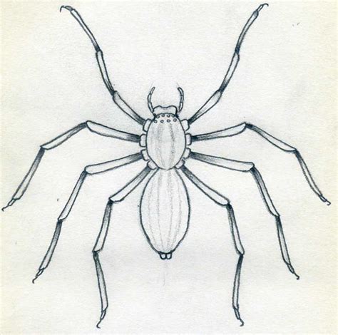 How To Draw Spider Legs